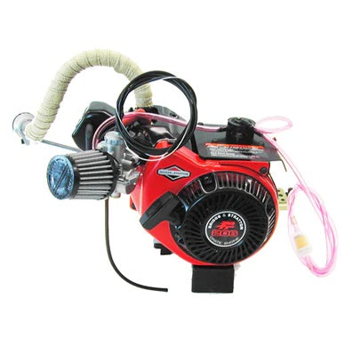 Briggs & Stratton LO206 Package