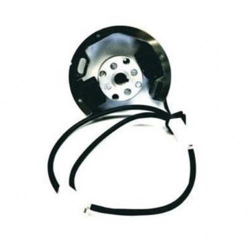 [276A] IAME KA100 IGNITION STATOR WITH MAGNETO ROTOR