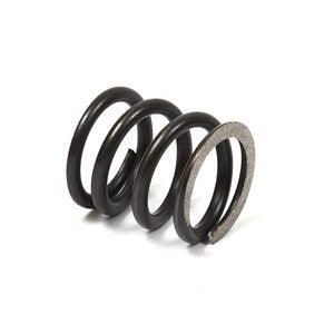 Briggs & Stratton VALVE SPRING